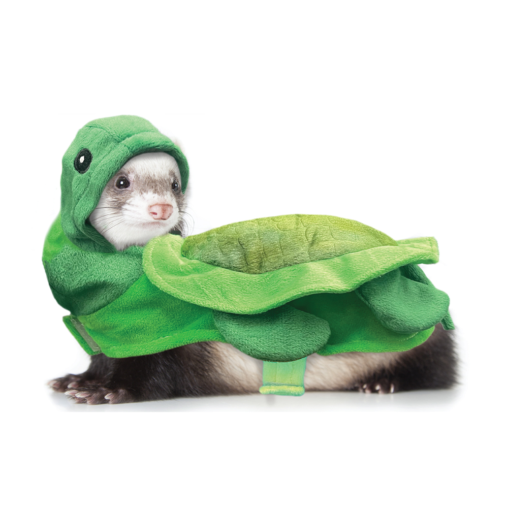 marshallferrets.com: Turtle Costume
