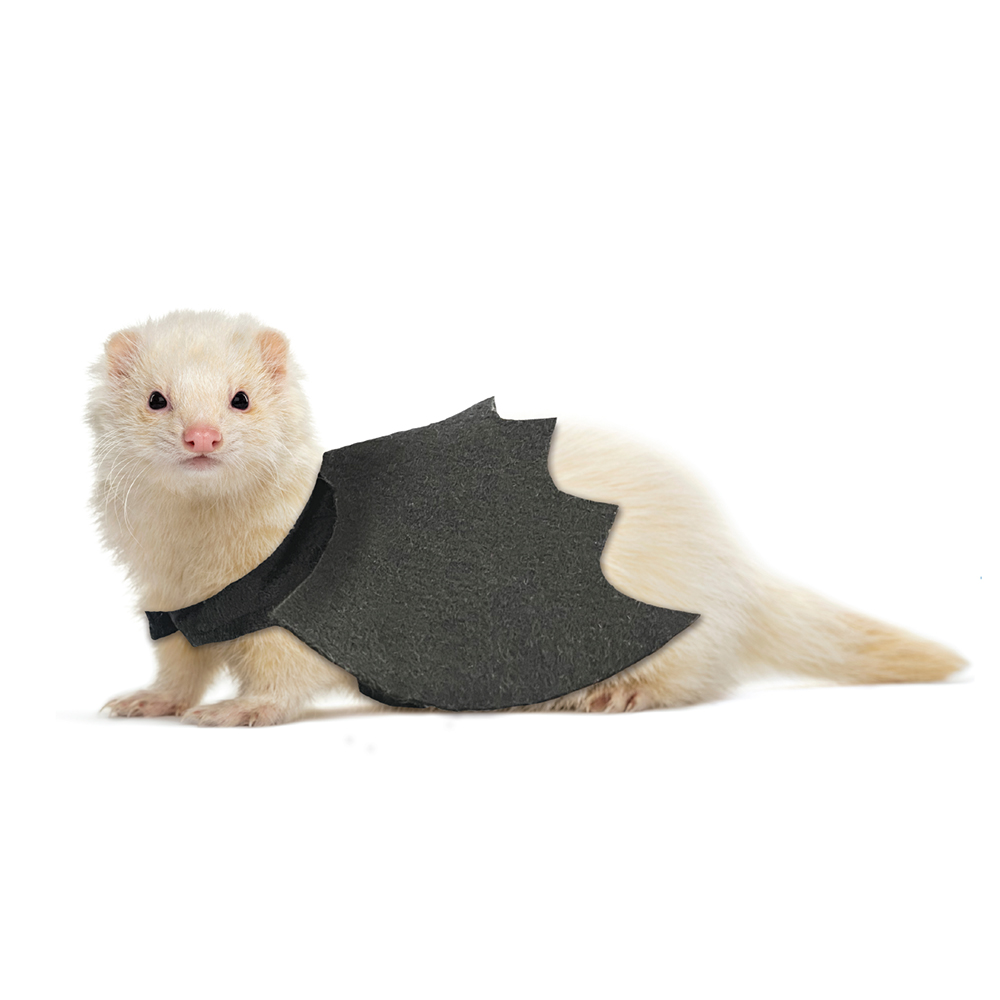 marshallferrets.com: Bat Costume