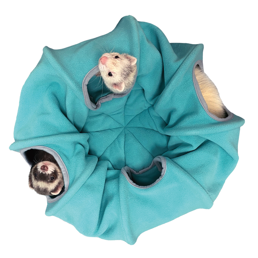 marshallferrets.com: Ferret-Go-Round