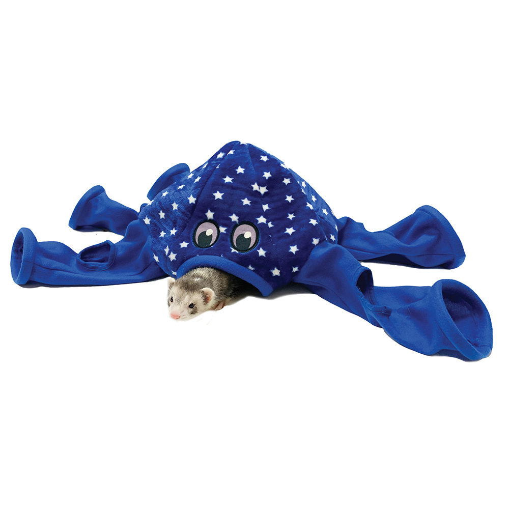 marshallferrets.com: Octo-Play