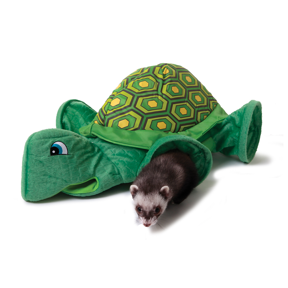 marshallferrets.com: Turtle Tunnel
