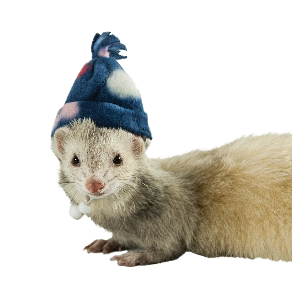 marshallferrets.com: Winter Cap